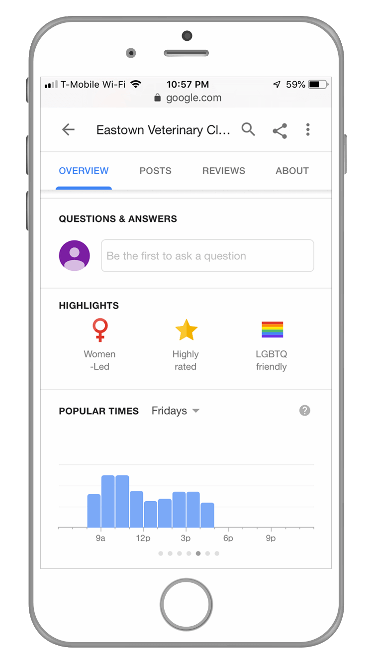 Have You Heard About Google Attributes? – iVET360
